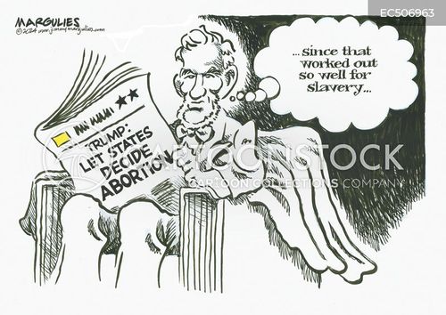 Let States Decide Cartoons and Comics - funny pictures from CartoonStock