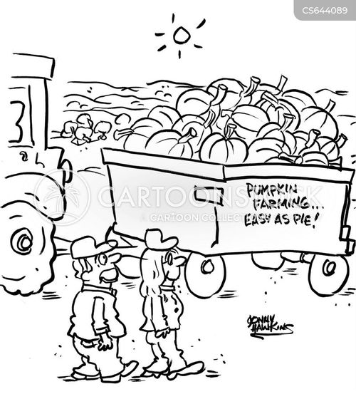 Pumpkin Farming Cartoons and Comics - funny pictures from CartoonStock