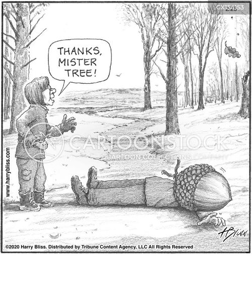 Oak Tree Cartoons and Comics - funny pictures from CartoonStock