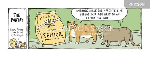 Old Cat Cartoons and Comics - funny pictures from CartoonStock