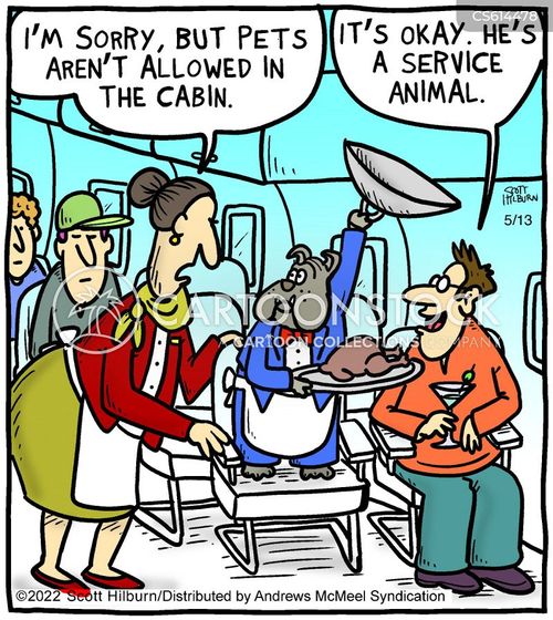 Airline Regulations Cartoons and Comics - funny pictures from CartoonStock