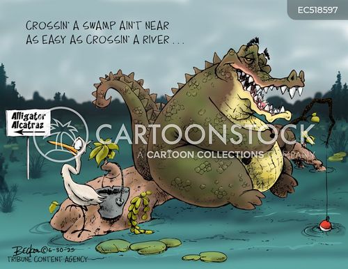 Alligator Alcatraz Cartoons and Comics - funny pictures from CartoonStock