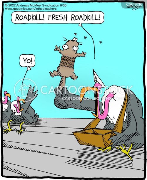 Roadkill Cartoons and Comics - funny pictures from CartoonStock