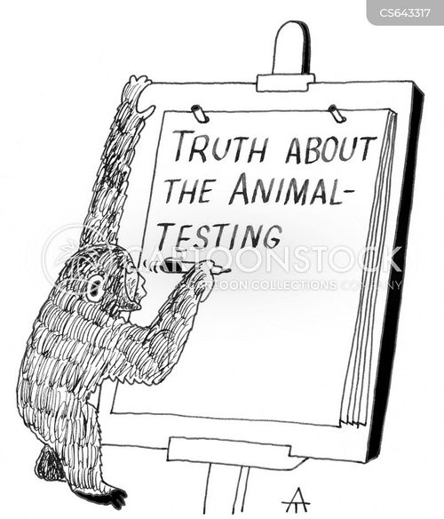 Chimpanzee Study Cartoons and Comics - funny pictures from CartoonStock