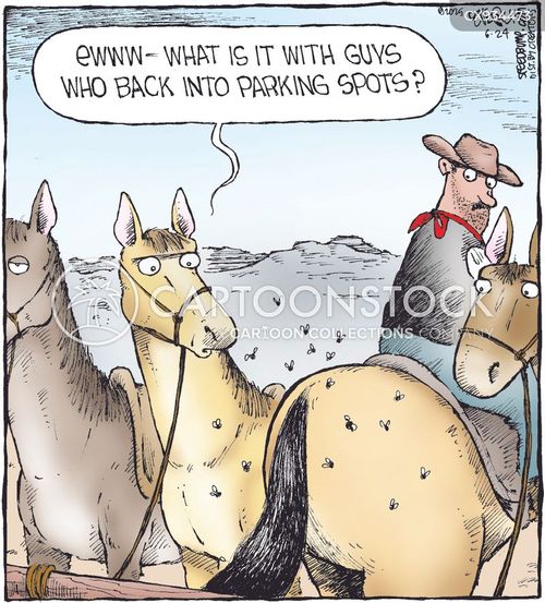 Parking Cartoons and Comics - funny pictures from CartoonStock