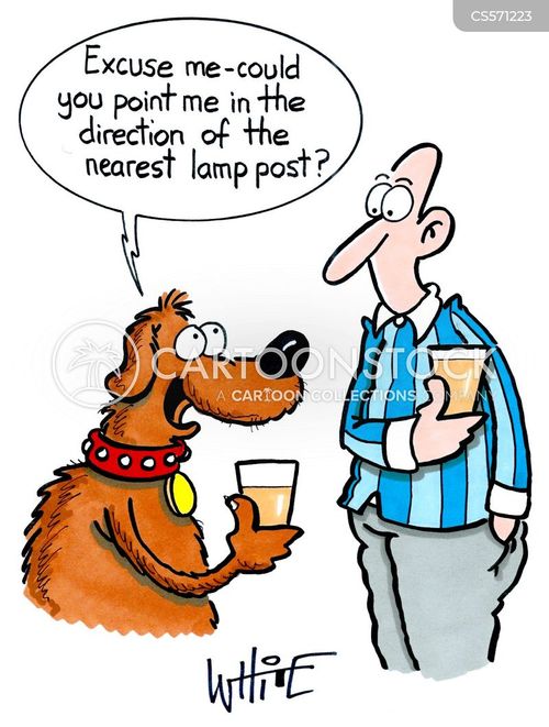 Lamp Post Memes Looking Under The Lamppost: The Streetlight Effect Or