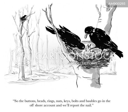 Magpie Cartoons and Comics - funny pictures from CartoonStock
