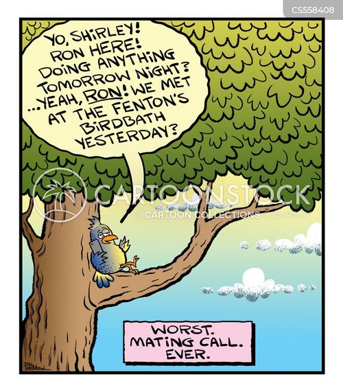 Mating Call Cartoons and Comics - funny pictures from CartoonStock