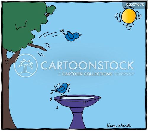 Bird Bath Cartoons and Comics - funny pictures from CartoonStock