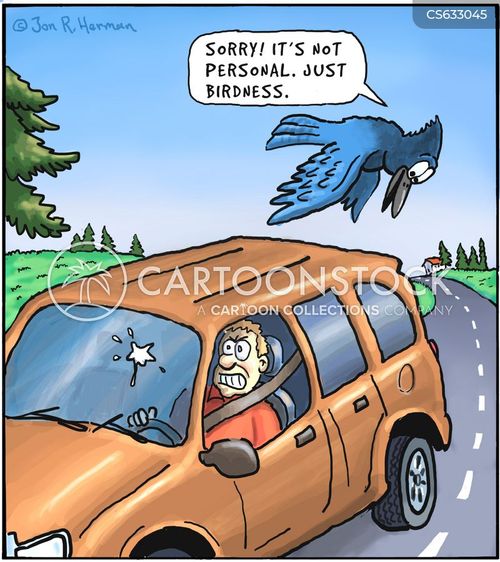 Blue Jay Antics Cartoons and Comics - funny pictures from CartoonStock