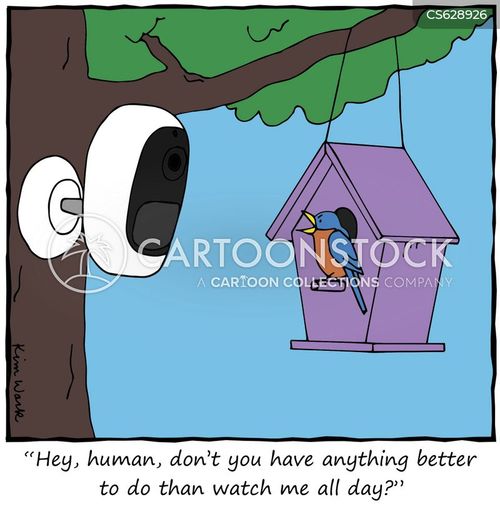 Anthropomorphic Bird Cartoons and Comics - funny pictures from CartoonStock