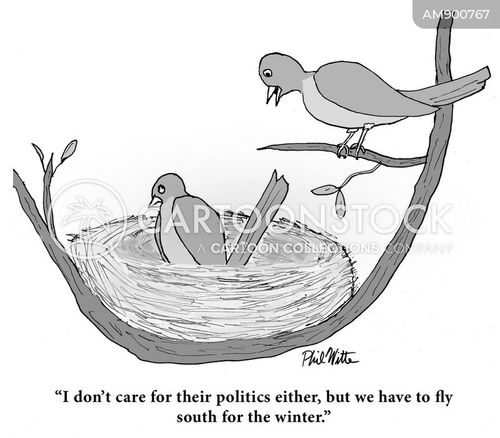 Animal Migration Patterns Cartoons and Comics - funny pictures from ...