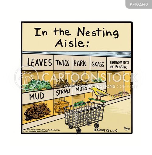 Bird Life Cartoons and Comics - funny pictures from CartoonStock