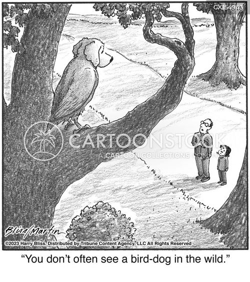 Chimera Cartoons and Comics - funny pictures from CartoonStock