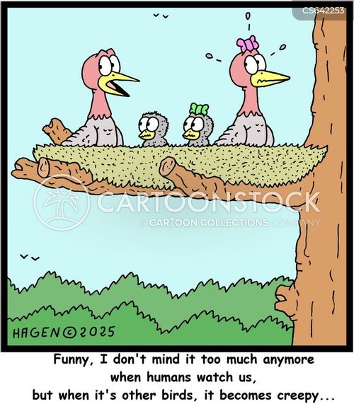 Birdwatching Cartoons and Comics - funny pictures from CartoonStock