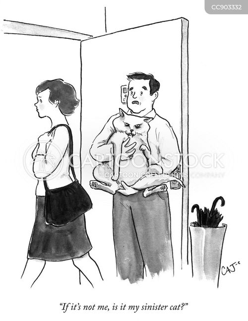 Cat Personality Cartoons and Comics - funny pictures from CartoonStock