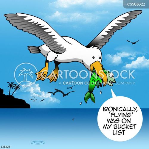 Bucket Cartoons and Comics - funny pictures from CartoonStock