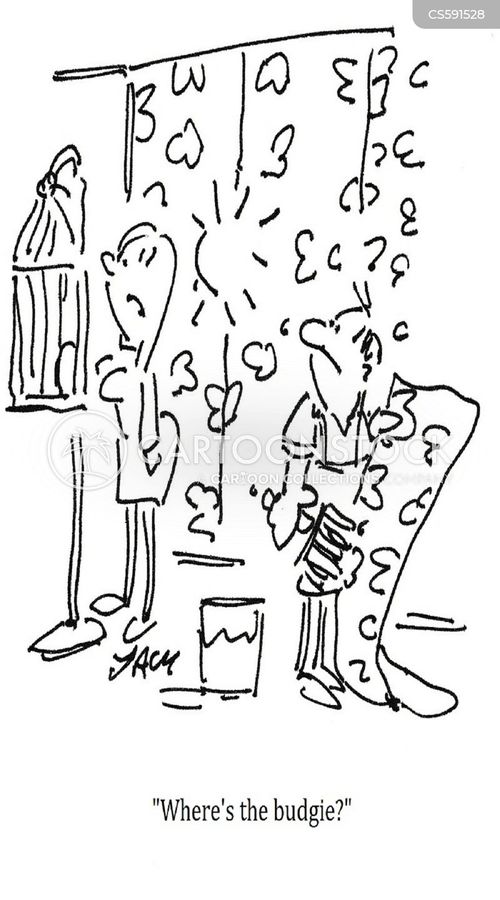 Budgie Smugglers Cartoons and Comics - funny pictures from CartoonStock