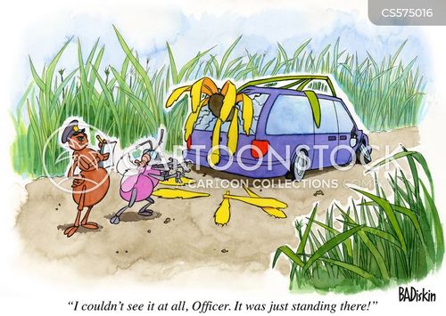 Bad Driver Cartoons and Comics - funny pictures from CartoonStock