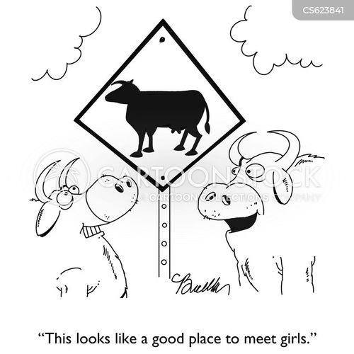 Livestock Signage Cartoons and Comics - funny pictures from CartoonStock