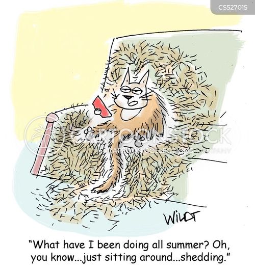 Cat Hair Cartoons and Comics - funny pictures from CartoonStock