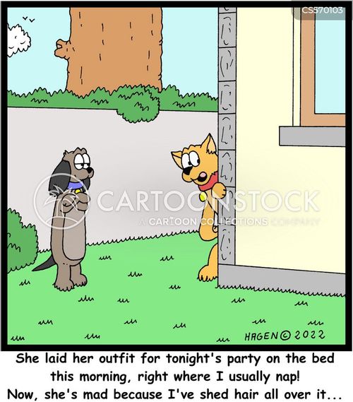 Mad Cat Lady Cartoons and Comics - funny pictures from CartoonStock