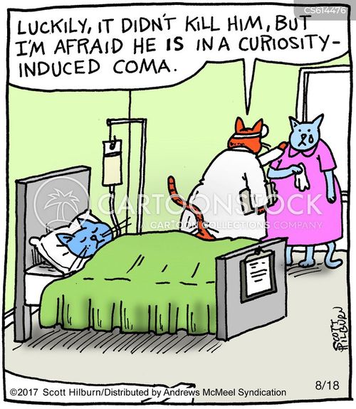 Curiosity Killed The Cat Cartoons and Comics - funny pictures from ...