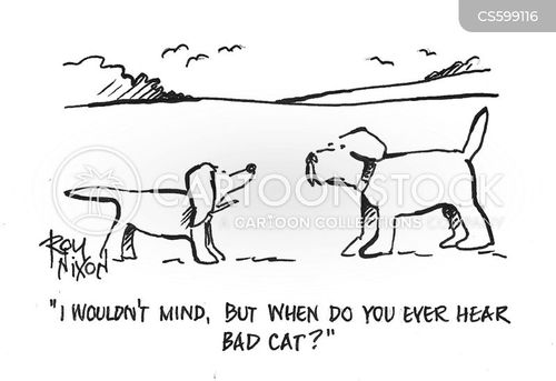 Cat Stereotype Cartoons and Comics - funny pictures from CartoonStock