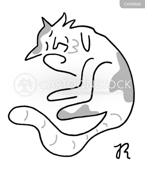 Ladylike Cartoons and Comics - funny pictures from CartoonStock