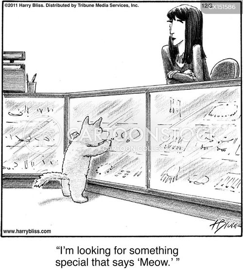 Feline Customer Cartoons and Comics - funny pictures from CartoonStock