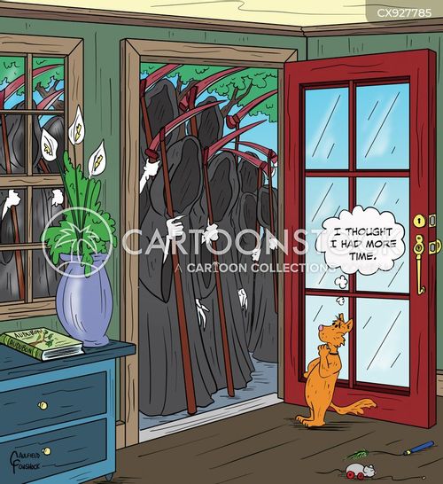 Unexpected Finale Cartoons and Comics - funny pictures from CartoonStock