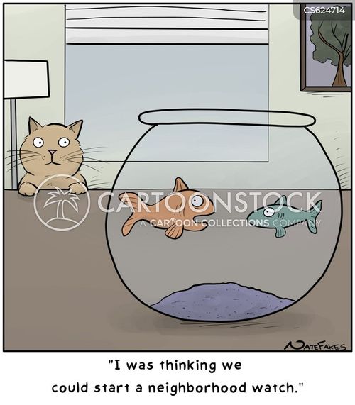 Alert Cats Cartoons and Comics - funny pictures from CartoonStock