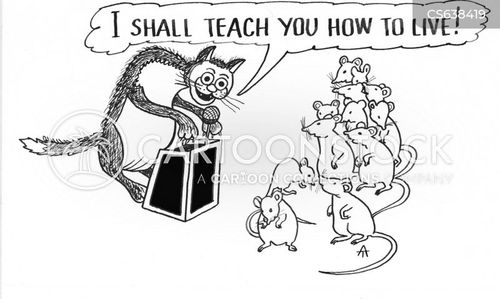 Tomcat Cartoons and Comics - funny pictures from CartoonStock