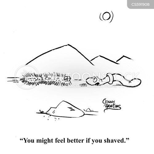 Shaved Cartoons and Comics - funny pictures from CartoonStock