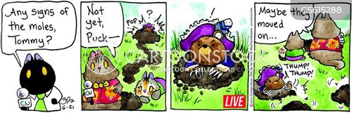 Nature Reporting Cartoons and Comics - funny pictures from CartoonStock