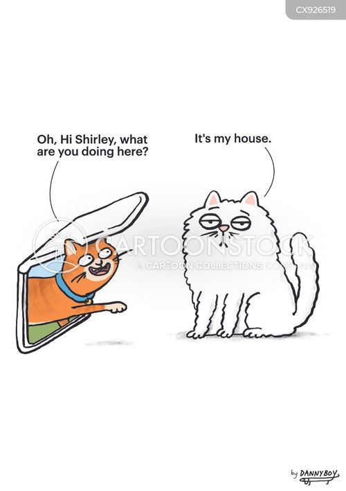 Identity Confusion Cartoons and Comics - funny pictures from CartoonStock