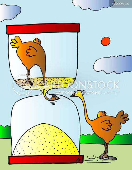 Chicken Feed Cartoons and Comics - funny pictures from CartoonStock