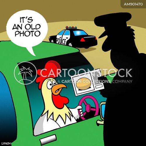 Egg To Chicken Cartoons and Comics - funny pictures from CartoonStock