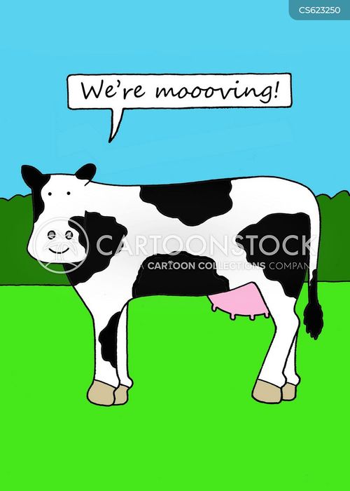 Bovine Humor Cartoons and Comics - funny pictures from CartoonStock