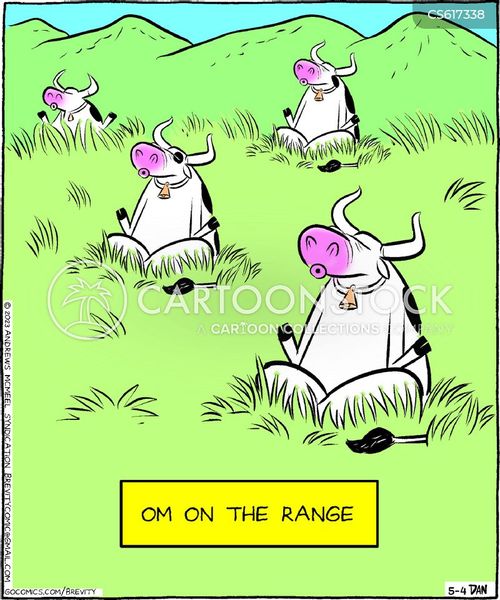 Animal Wellness Plan Cartoons and Comics - funny pictures from CartoonStock