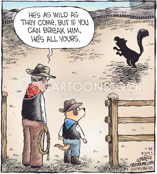 Wrangle Cartoons and Comics - funny pictures from CartoonStock