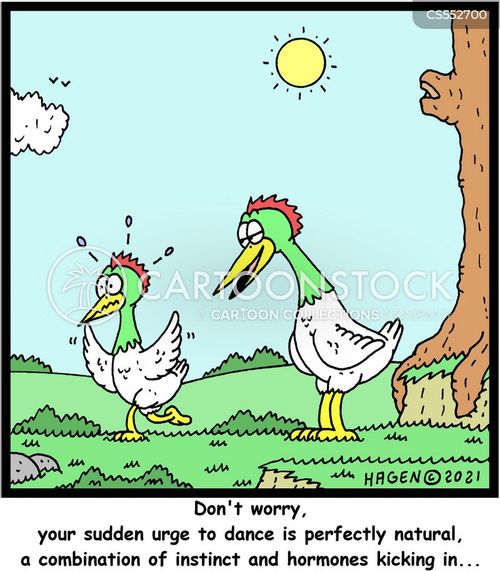 Mating Ritual Cartoons and Comics - funny pictures from CartoonStock