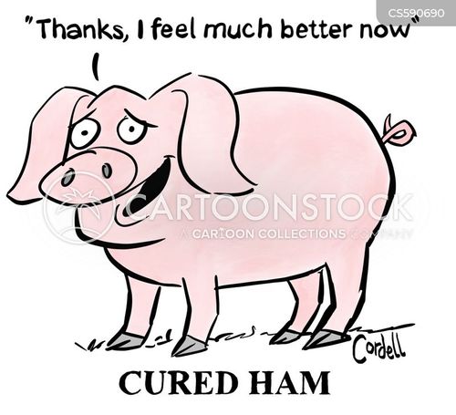 Cured Ham Cartoons and Comics - funny pictures from CartoonStock
