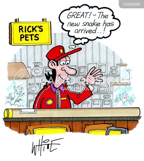 Cartoon Pet Stores