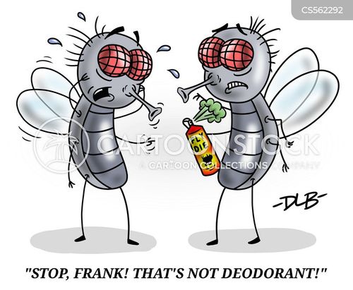 Squashed Bug Cartoons and Comics - funny pictures from CartoonStock
