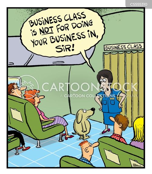 Business Classes Cartoons and Comics - funny pictures from CartoonStock