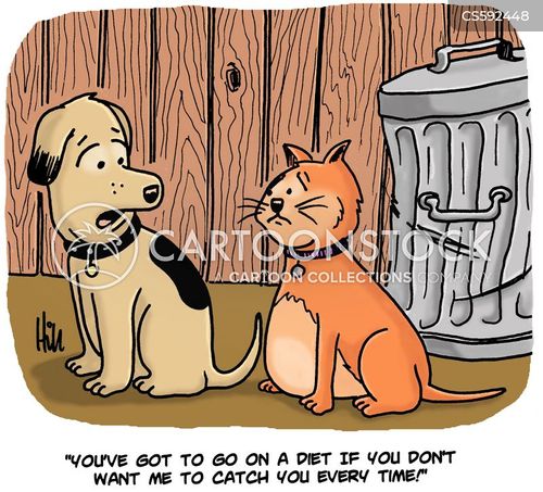 Cat Genetics Cartoons and Comics - funny pictures from CartoonStock