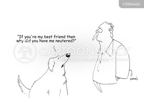 Neuter Cartoons and Comics - funny pictures from CartoonStock