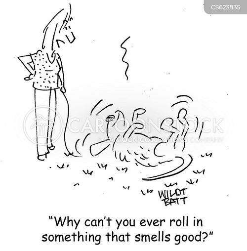 Scent Rolling Cartoons and Comics - funny pictures from CartoonStock