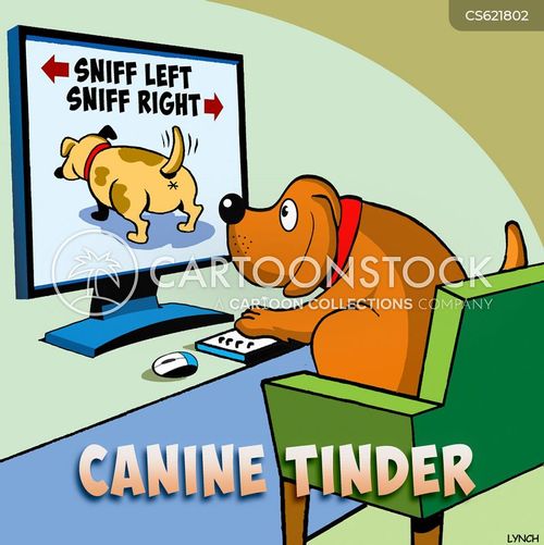 Paw-swipe Cartoons and Comics - funny pictures from CartoonStock